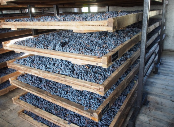 Appassimento Style of Wines | A Layman's Wine Musings