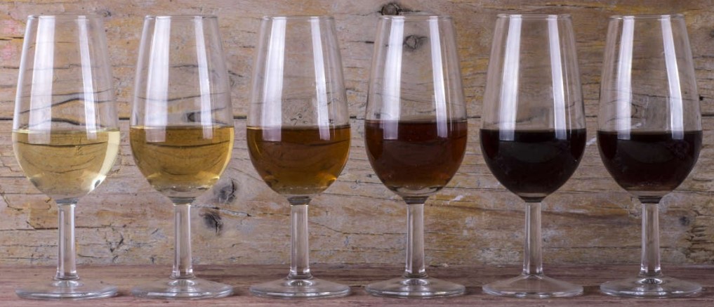 Spain’s Sherry Region | A Layman's Wine Musings