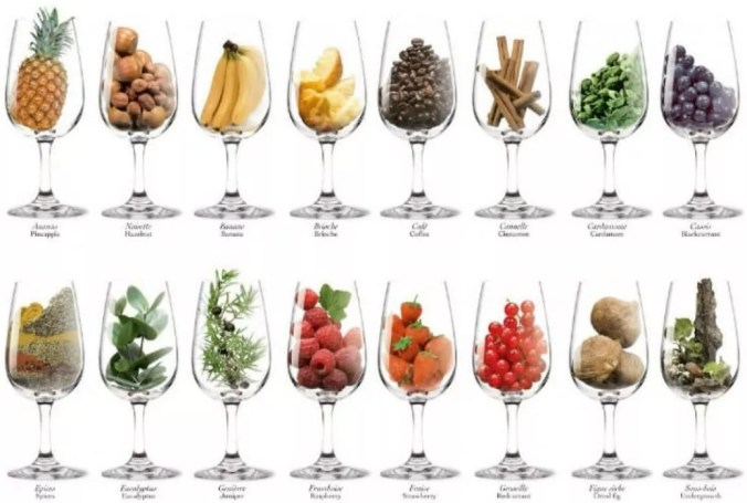 The Aromas of Wine | A Layman's Wine Musings
